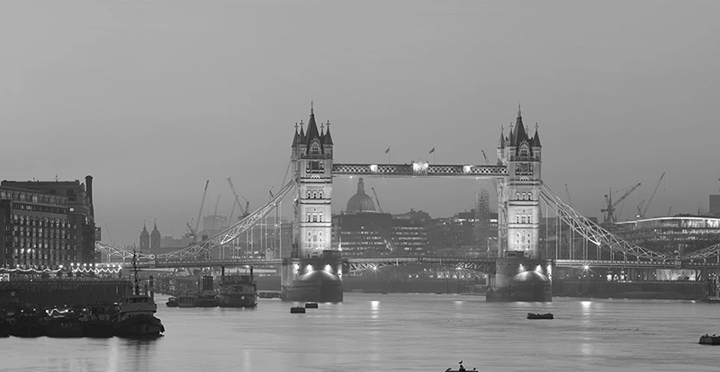 Bodyguard & Close Protection Services in London | Private Security Experts